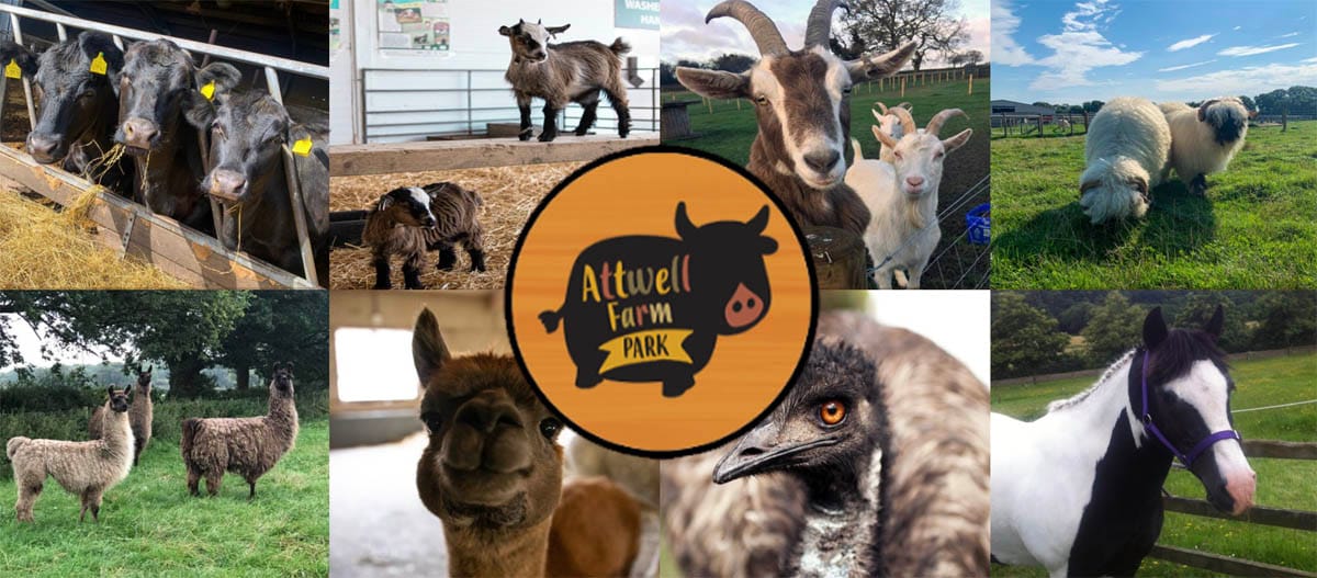 Atwell Farm Park | Bellissima Clinic